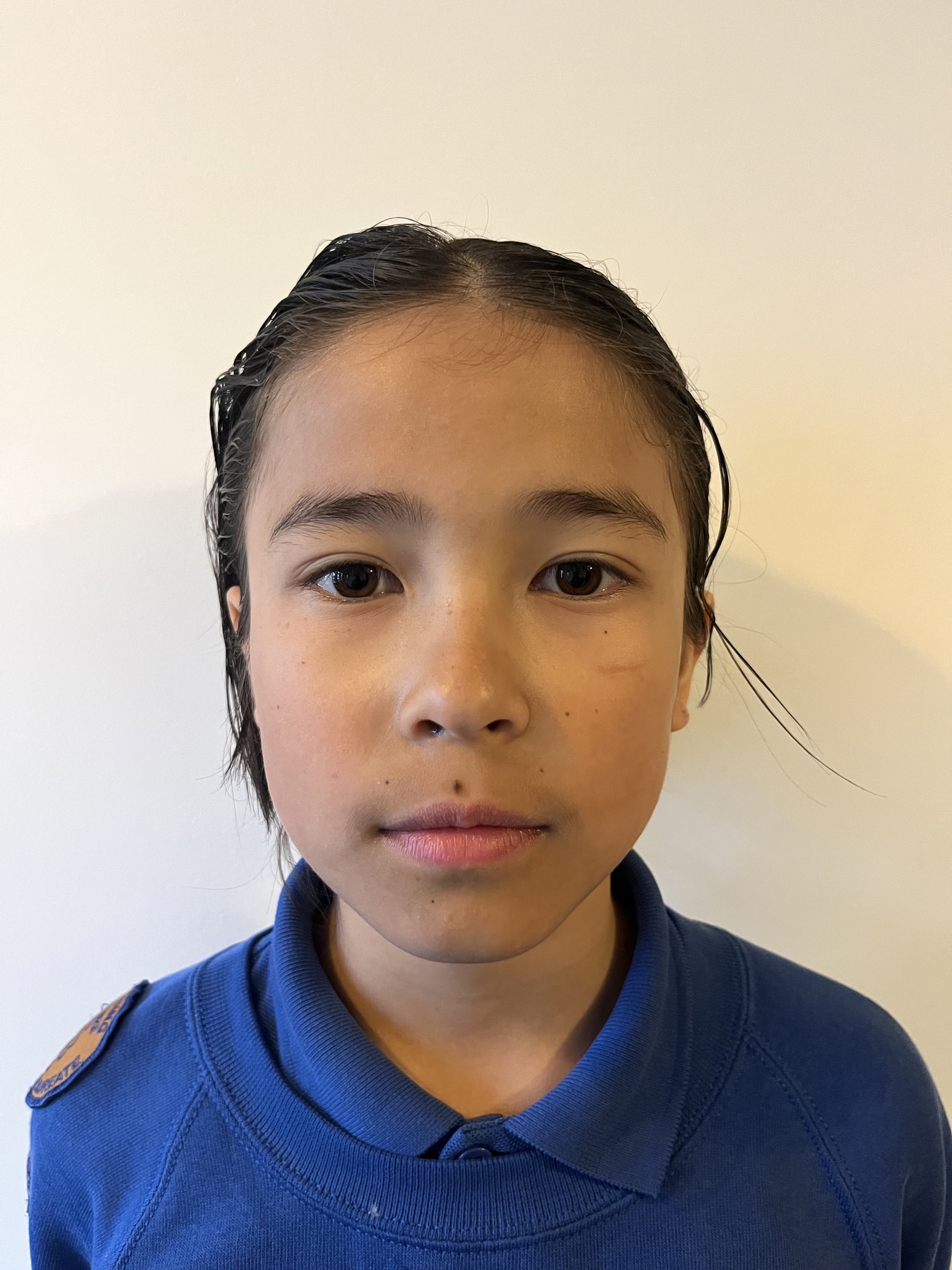 Theo Lee – 2025-2026